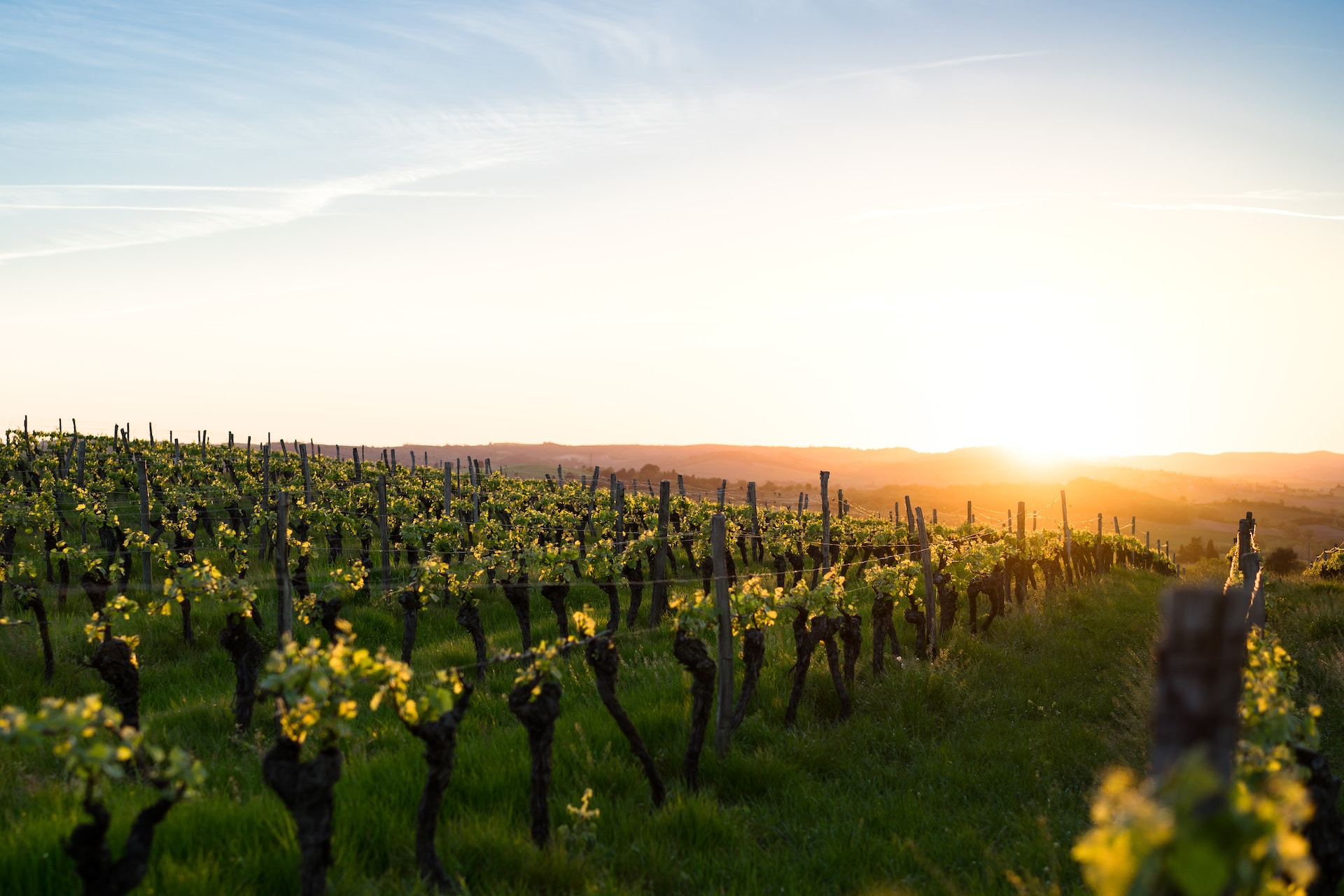Exploring the Best Wine Regions in Europe with a Eurail Pass - Eurail ...